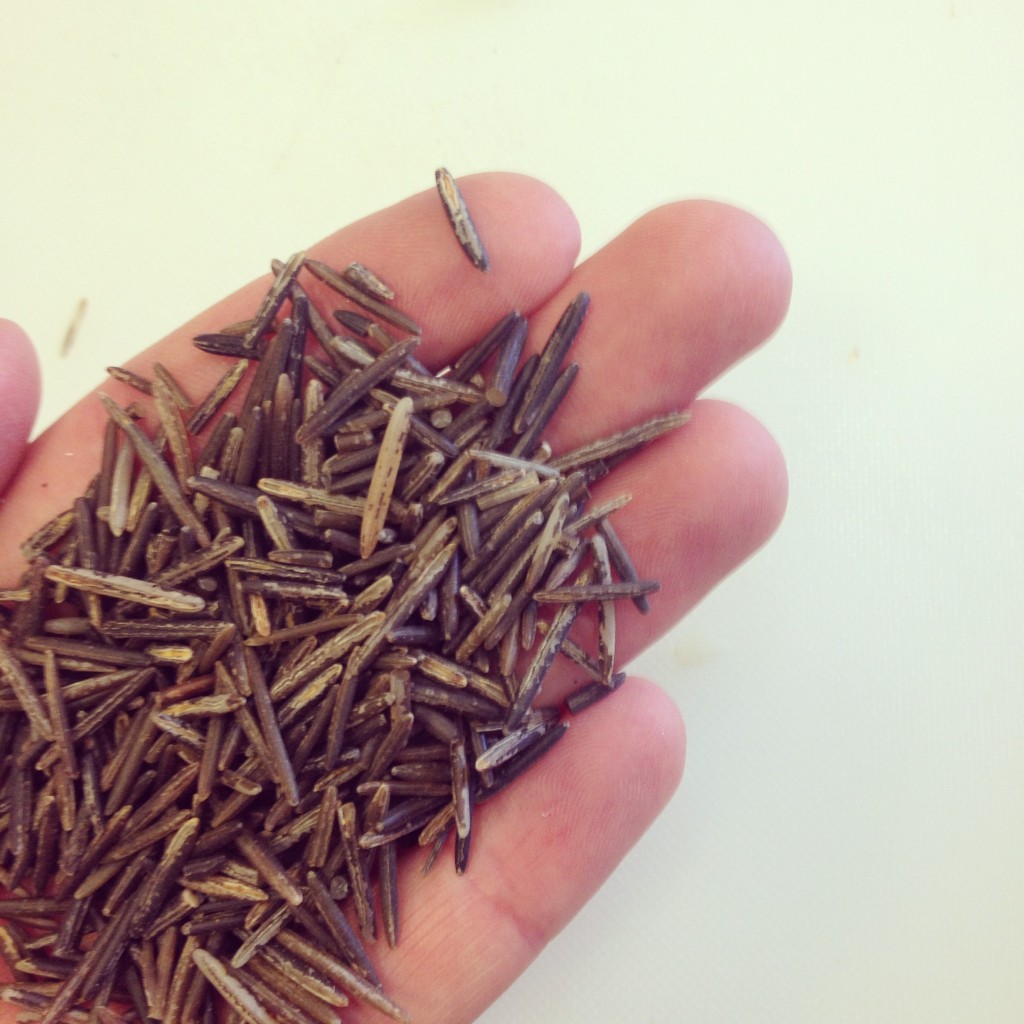 Wild Rice, Basic – Abra Berens